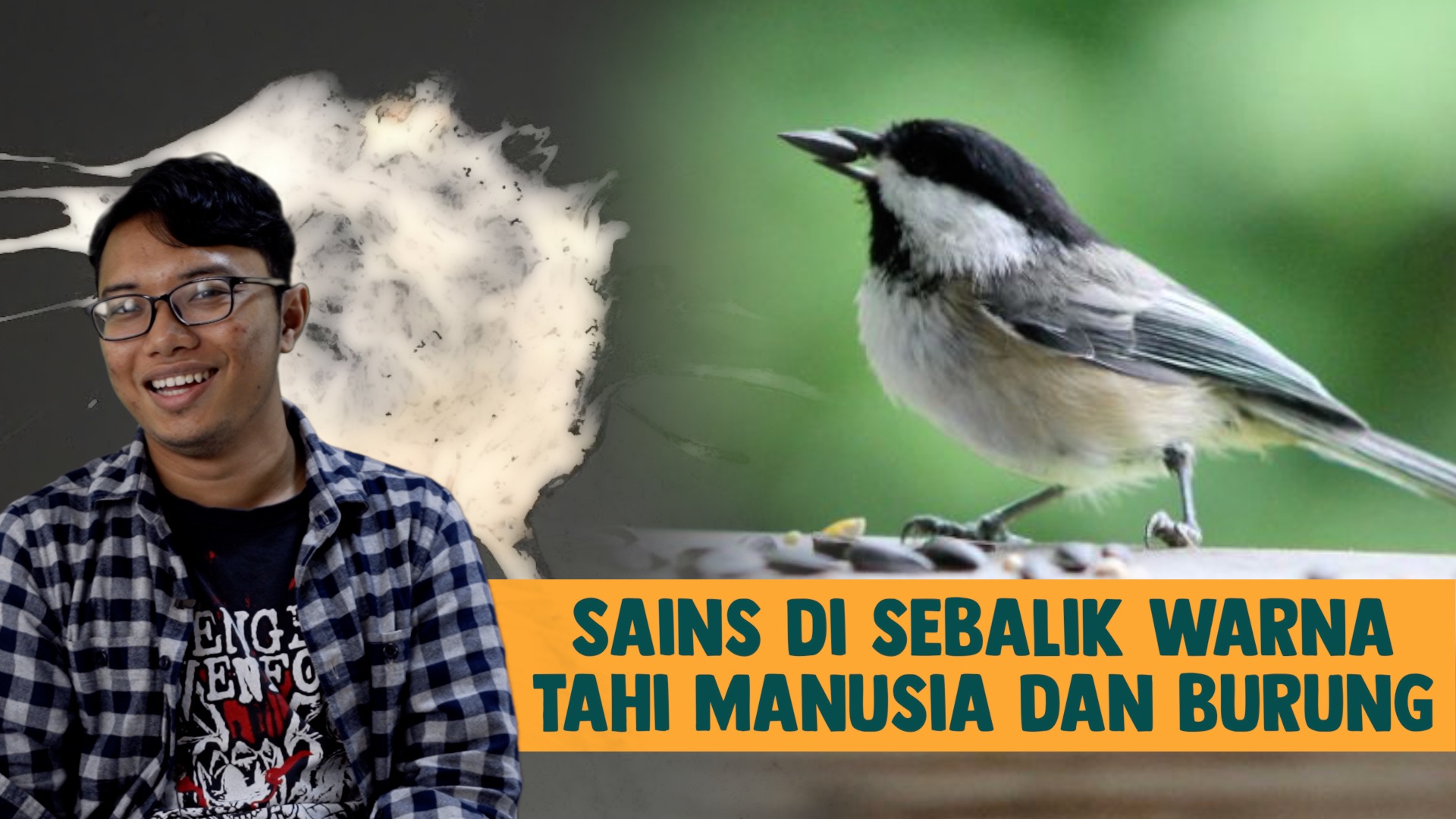 Sains Di Sebalik Warna Tahi Manusia dan Burung – ML Studios