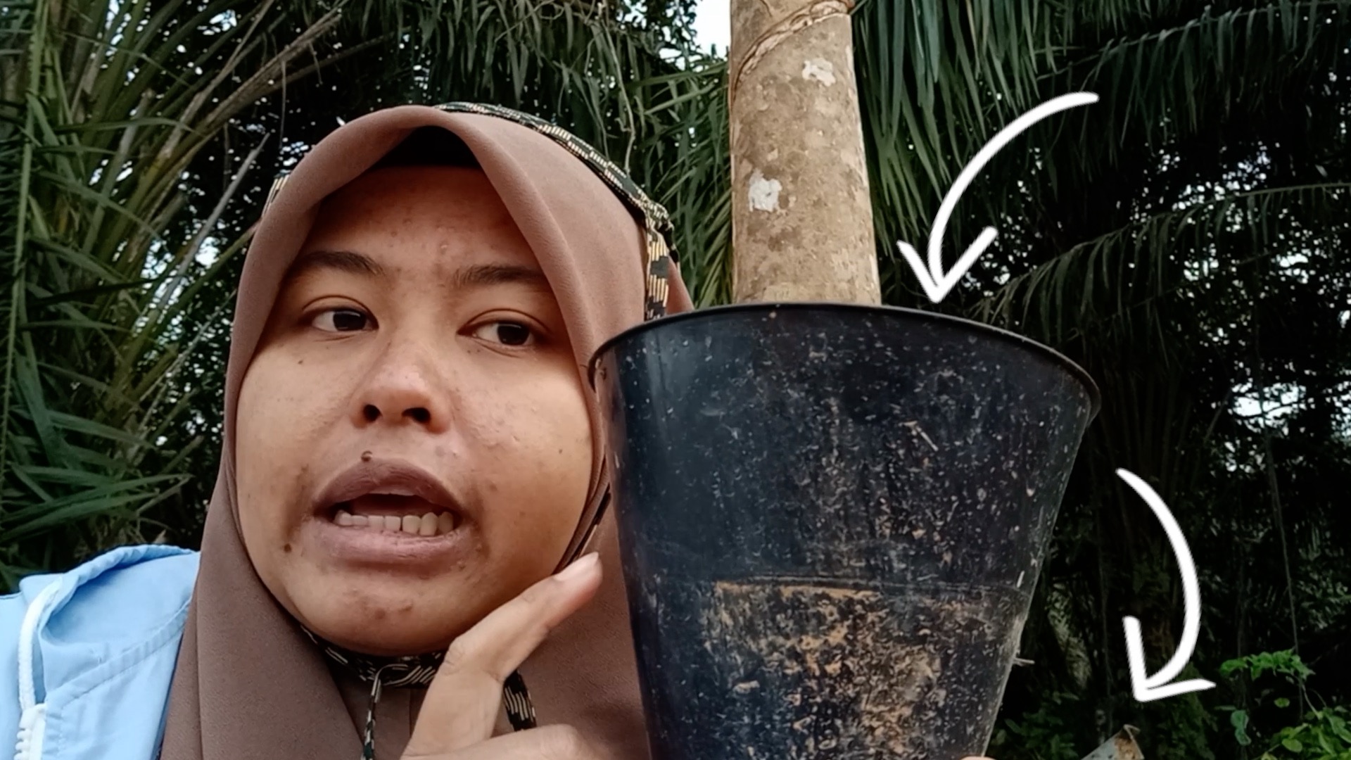 Macam Mana Proses Menoreh Getah? – ML Studios