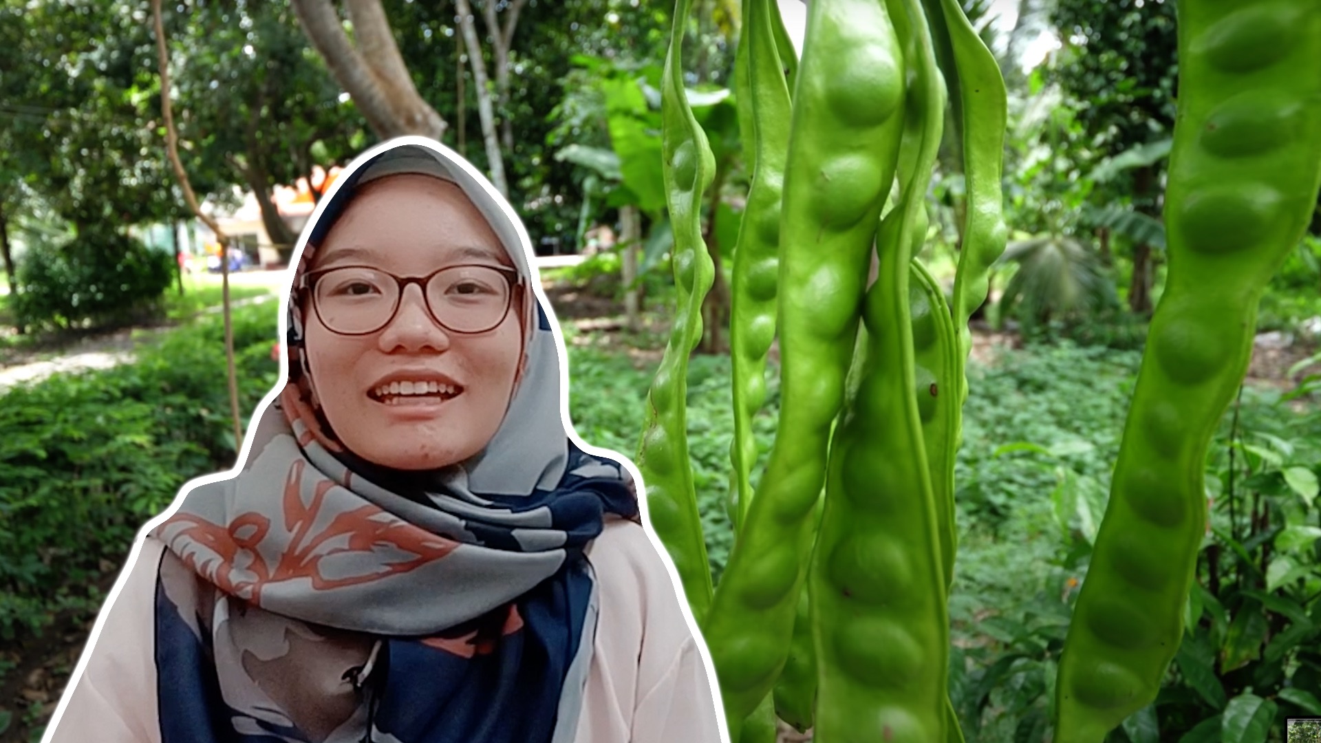 Petai: Busuk di Mulut, Baik di Badan – ML Studios