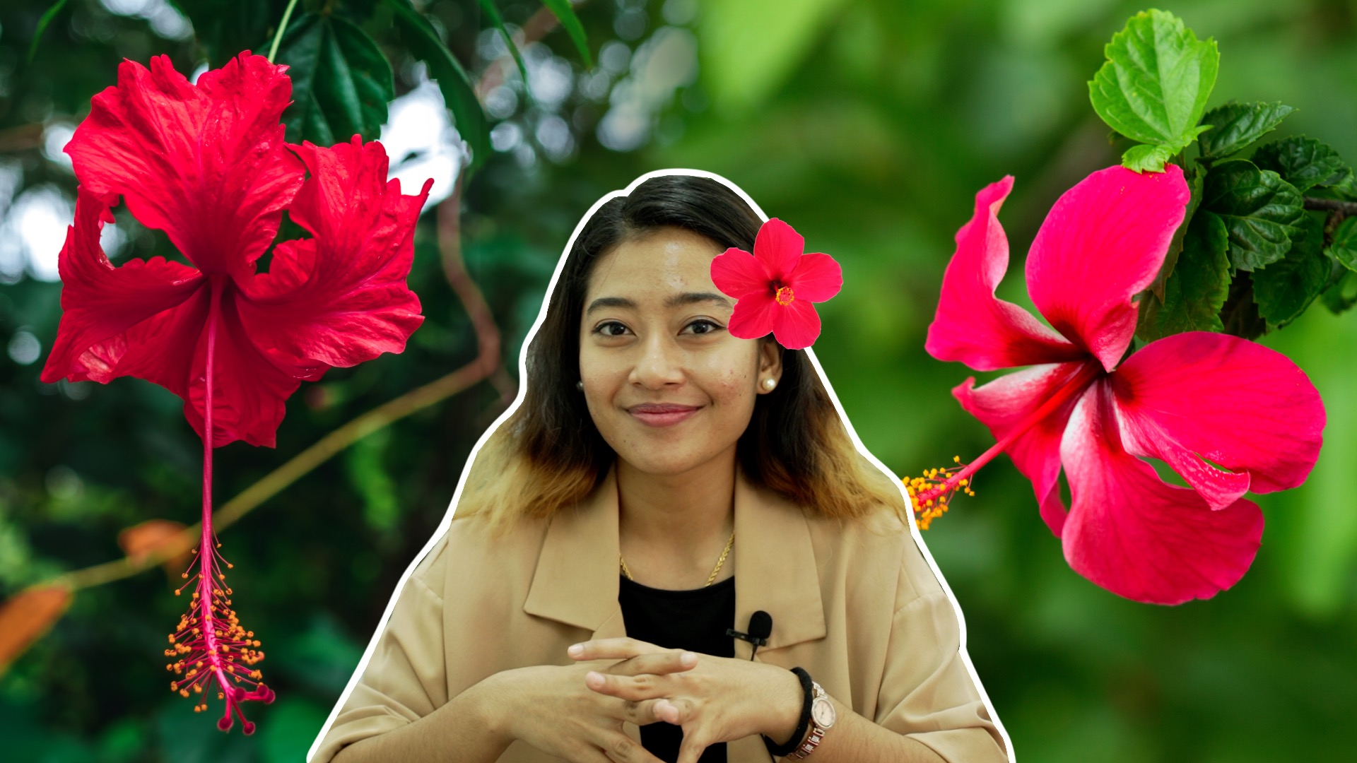 Bunga Raya: Cantik dan Menyejukkan – ML Studios