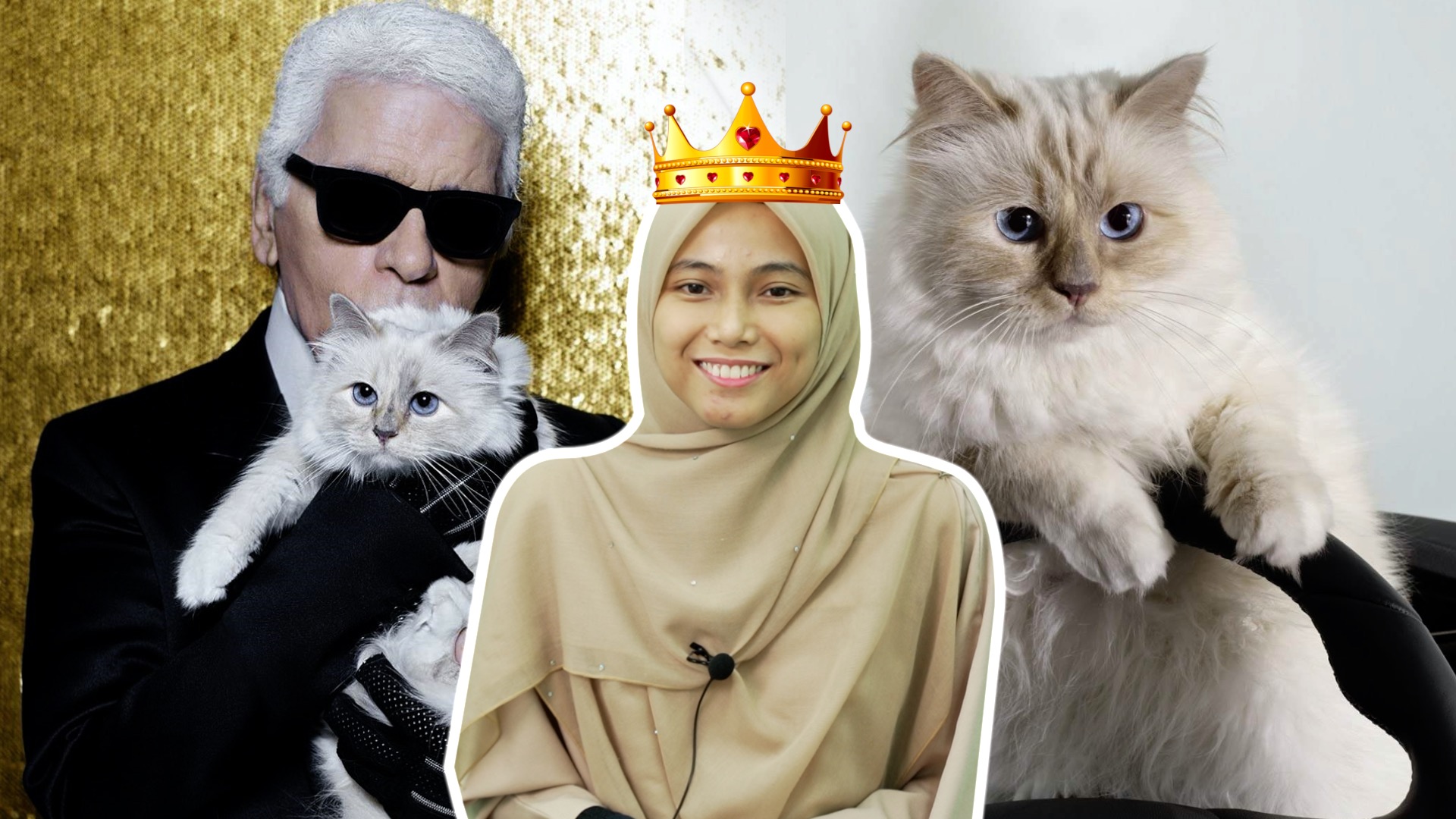 Ini adalah Kucing Terkaya di Dunia – ML Studios