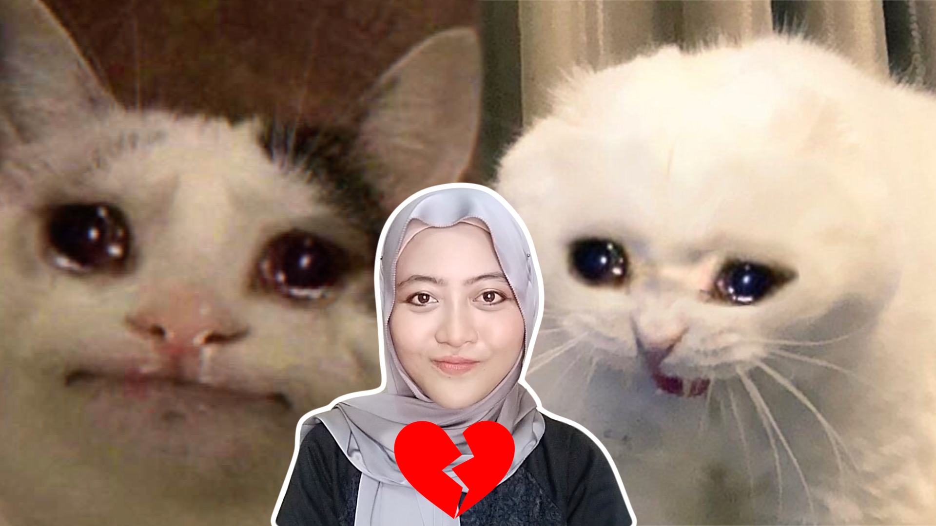 Gambar Kucing Nangis Tu Sebab Dia Sedih Ke? – ML Studios
