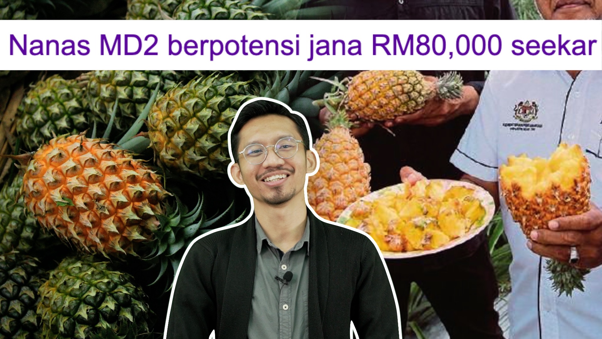 Nanas MD2: Musang King Versi Nanas – ML Studios