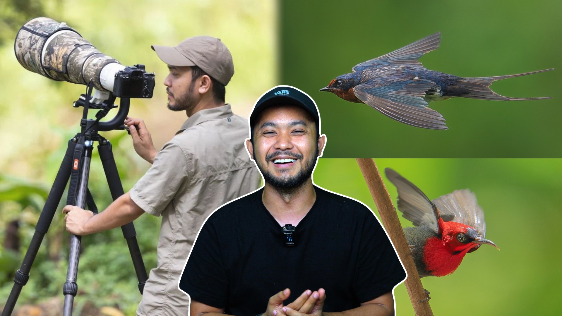 Juara Pertandingan Tangkap Gambar Burung – ML Studios