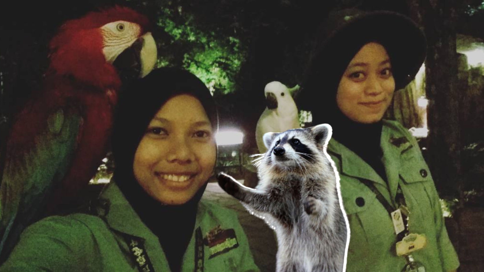 Macam Mana Haiwan Dilatih dalam Zoo? – ML Studios